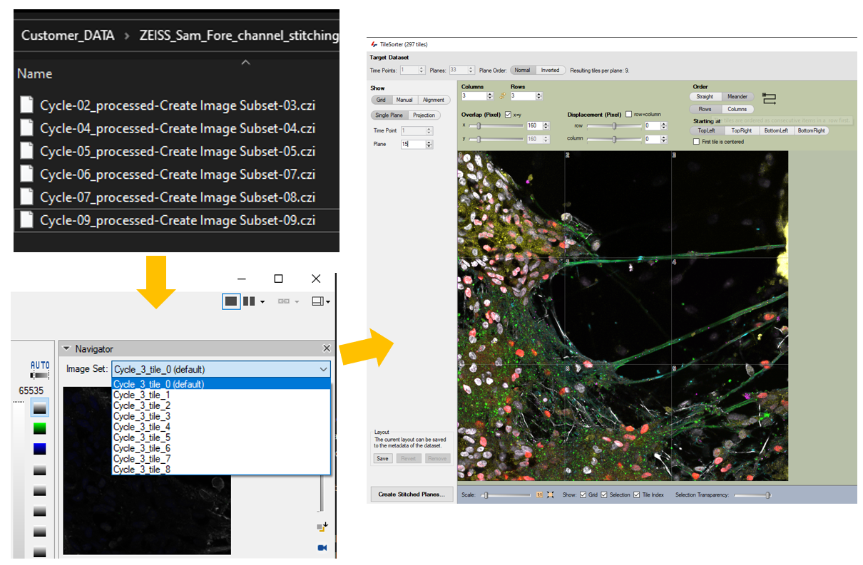 Image Registration for Multiplexing Experiments in arivis Pro
