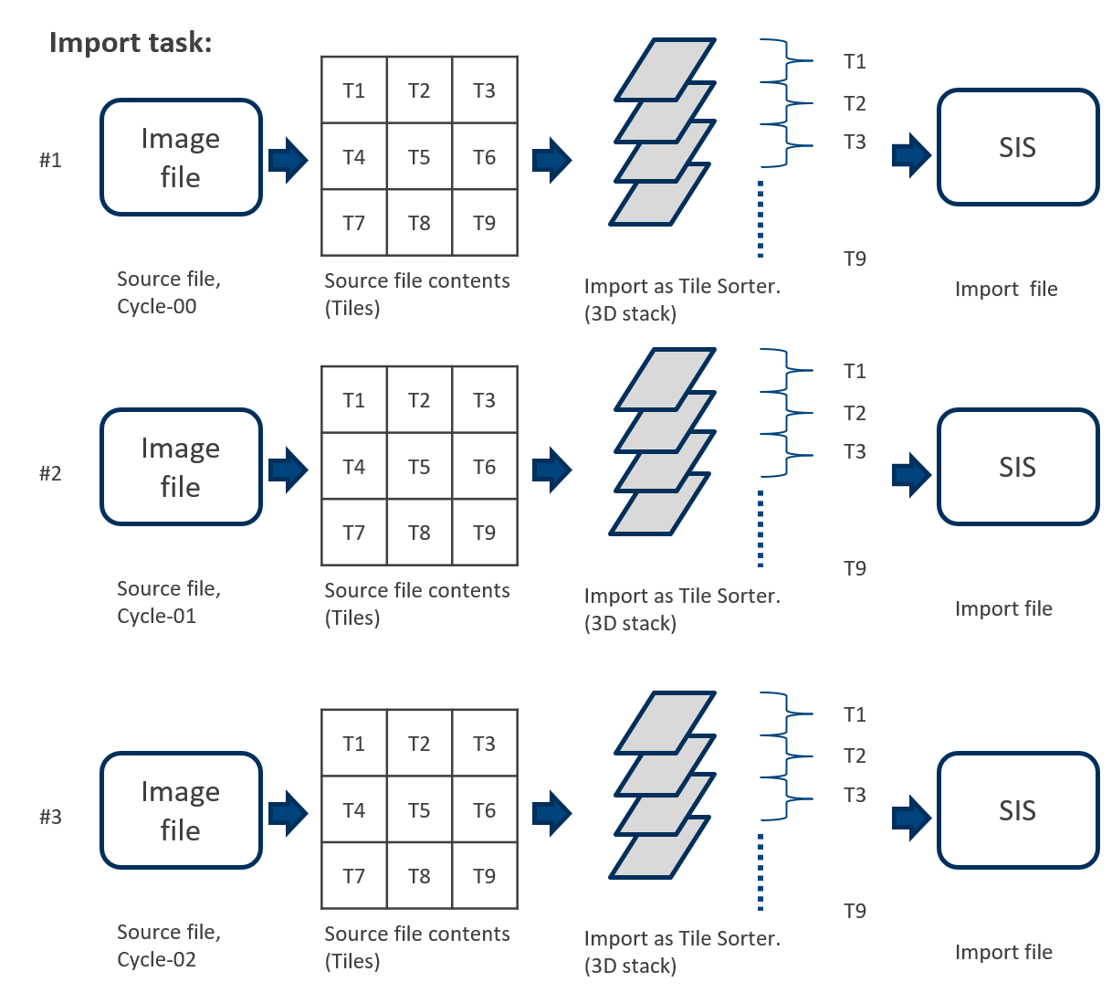 Image Registration for Multiplexing Experiments in arivis Pro