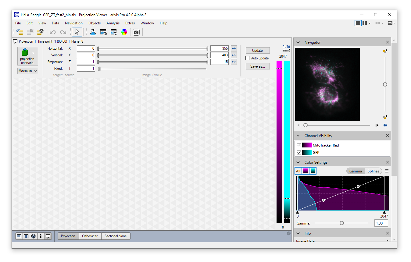 How to create Maximum Intensity Projections in arivis Pro / Vision 4D