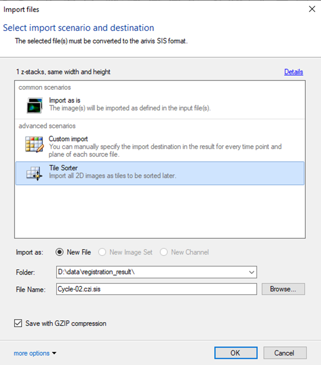 Image Registration for Multiplexing Experiments in arivis Pro
