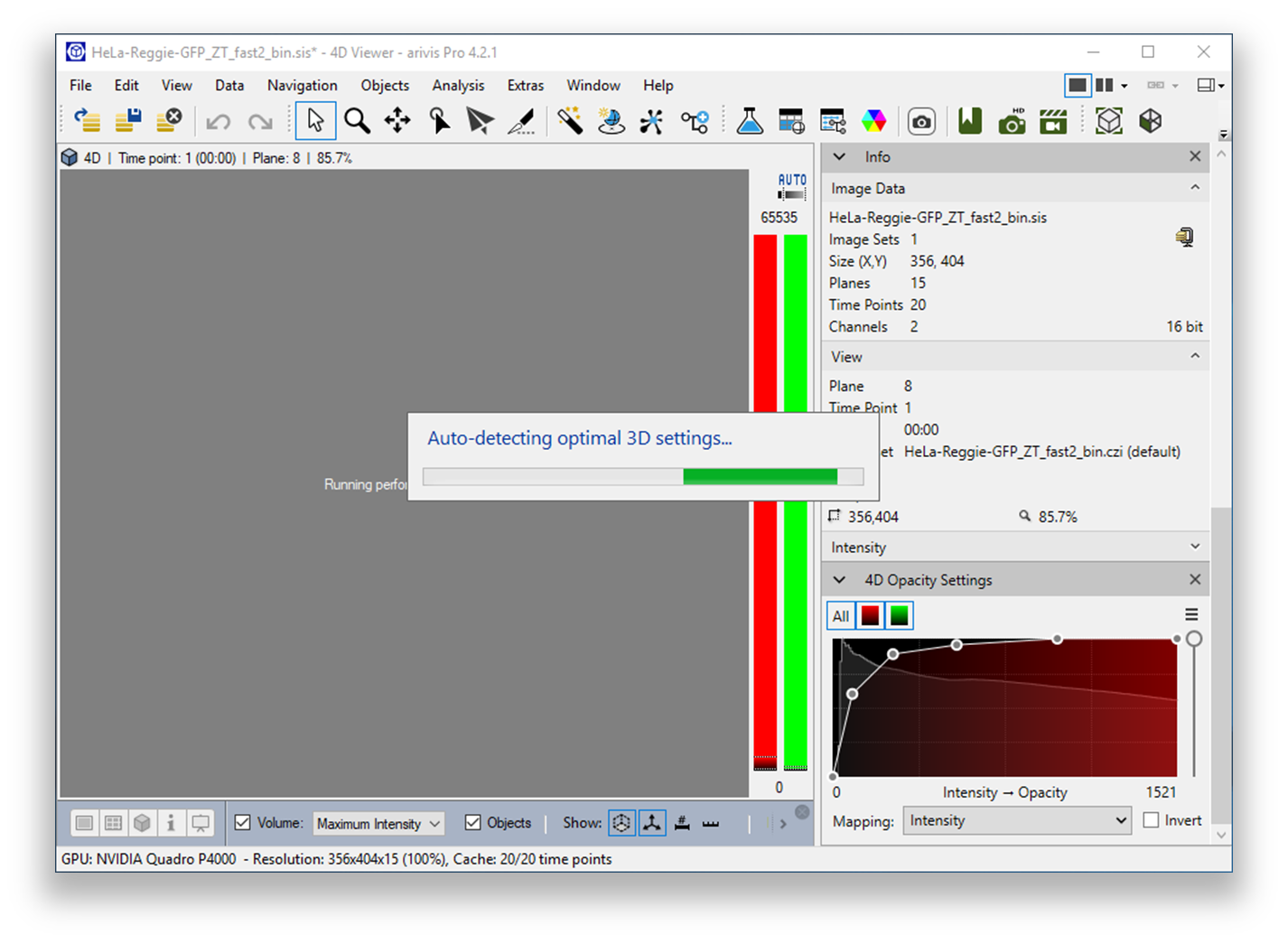 Installing and configuring arivis Pro