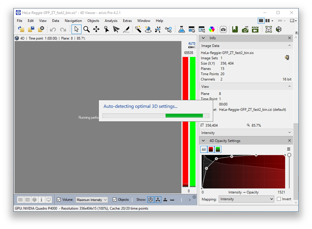 Installing and configuring arivis Pro